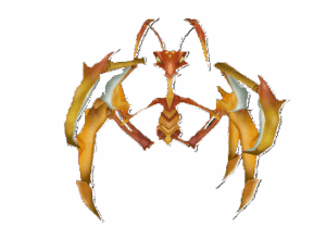 Floating Castle B1 – FlyFF Wiki