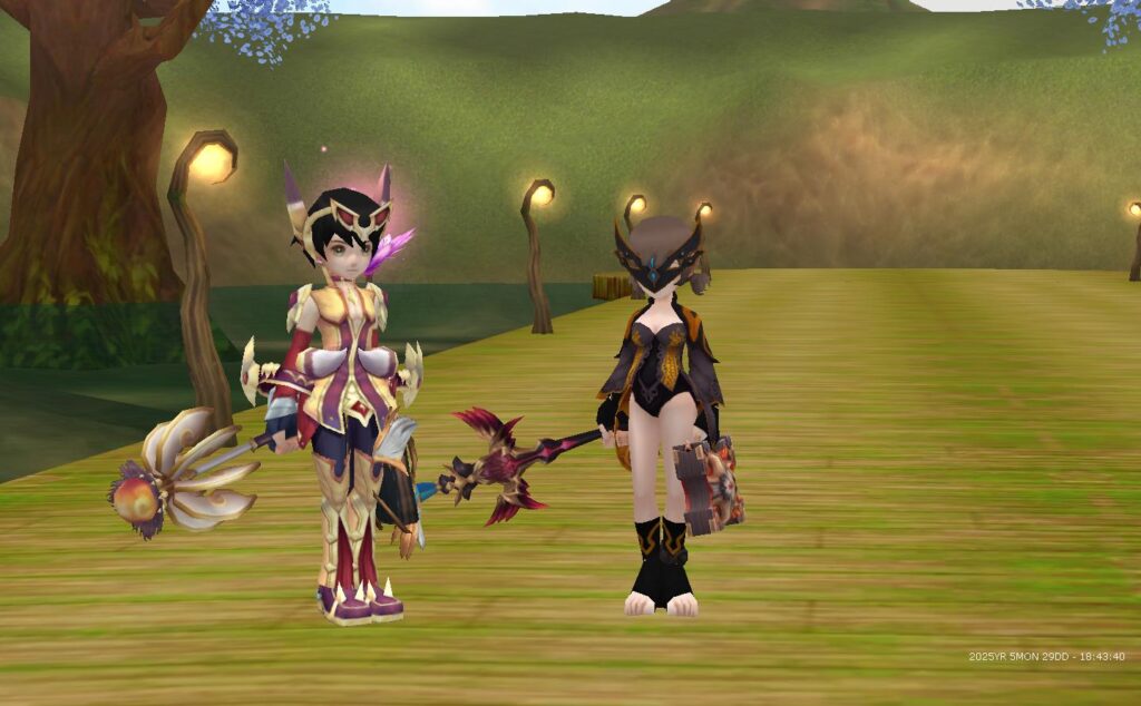 Classes - FlyFF Wiki